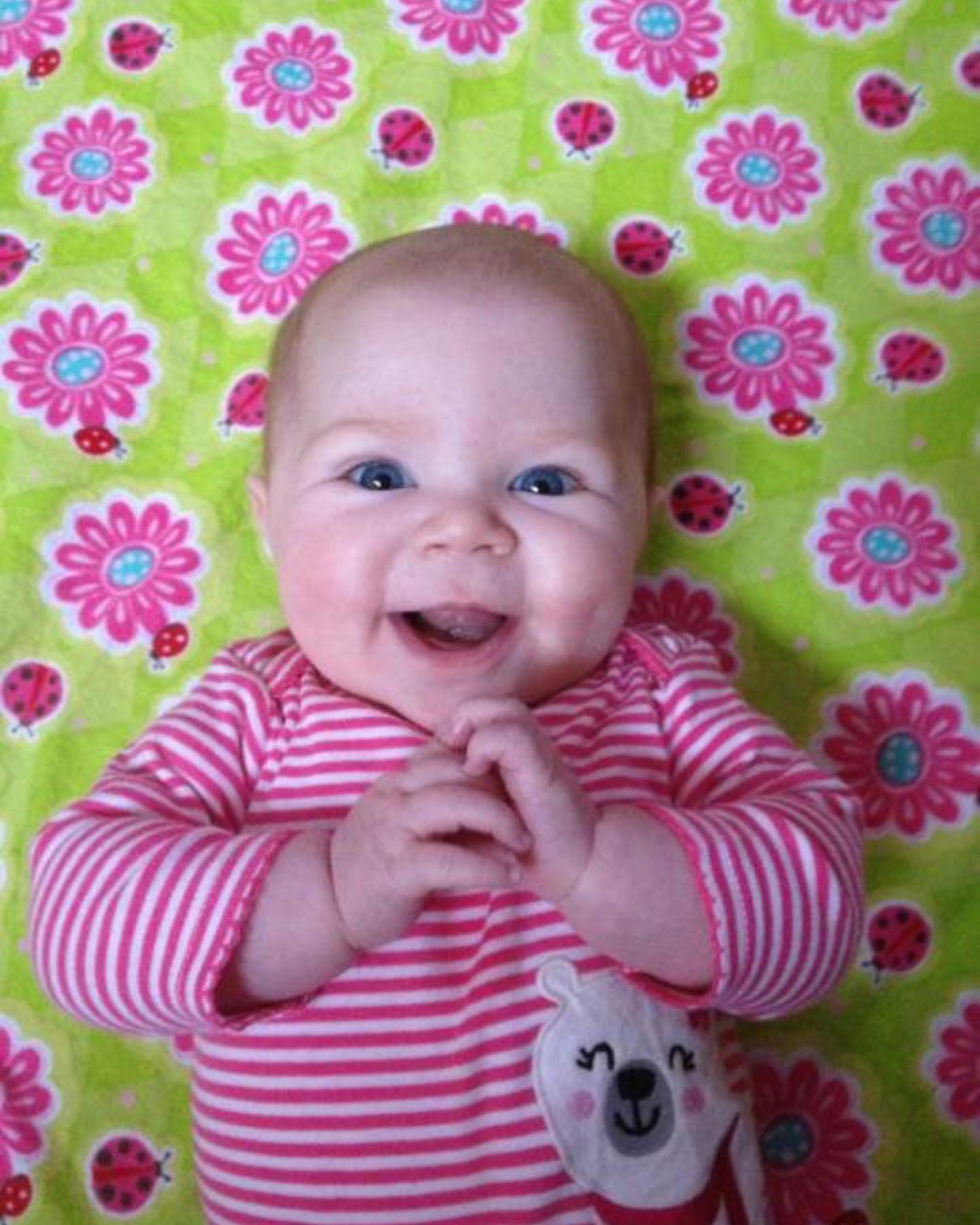 Sweet Dreams & Snuggles: Baby Essentials Basket - PADS of Elgin